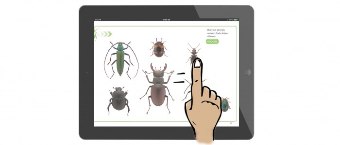 Digital compendium | Online og Blended Learning